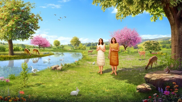 【Bible Storie】God’s Creation