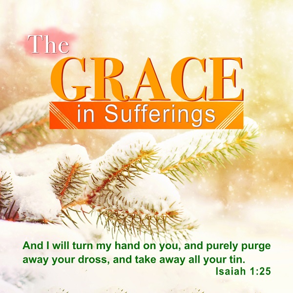 【Bible Verse】The Grace in Sufferings