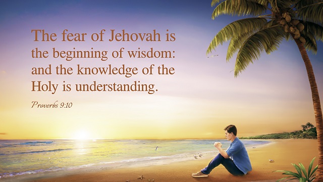 Bible Verses About Wisdom and Ignorance